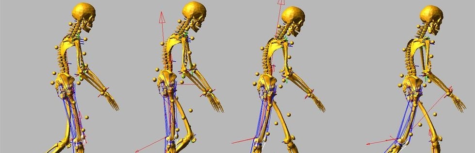 Physical Therapy Department - Biomechanics & Motor Performance Lab ...